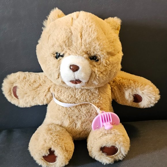 Moose | Toys | Small Cozy Little Brown Live Pet Bear W Pacifier ...